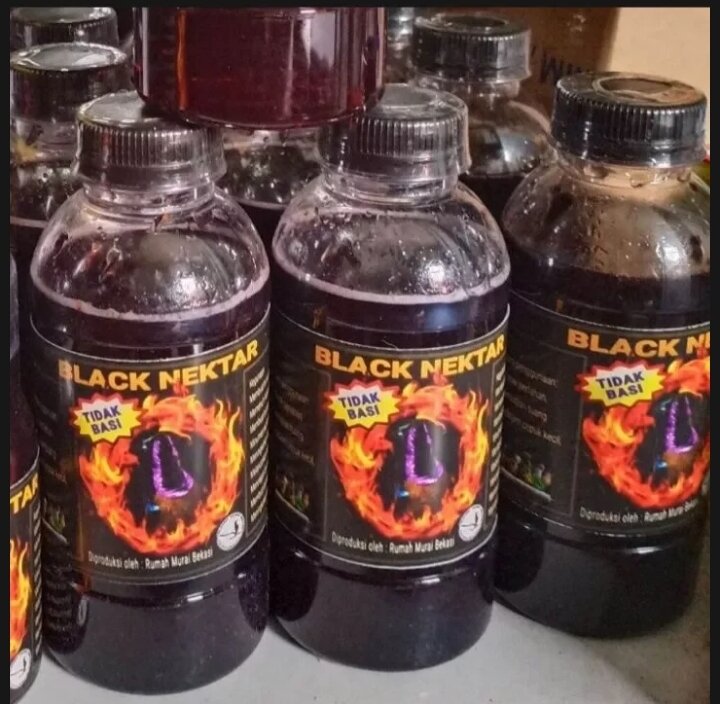 Black nektar besar 250ml konin kolibri sogon muncang colibri nekstar ...