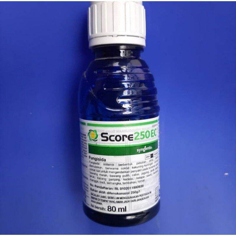 Fungisida SCORE 250 EC (80ml) | Lazada Indonesia
