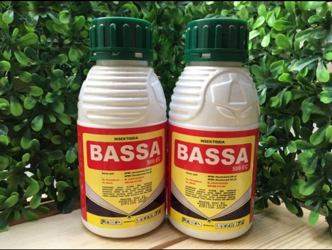 Insektisida BASSA 500ml | Lazada Indonesia