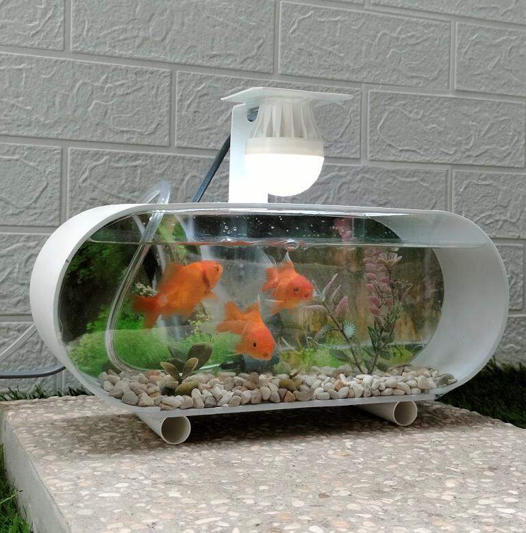 AQUARIUM MINI FULLSET MURAH DAN BAGUS LENGKAP BUNGA HIAS BATU WARNA ...