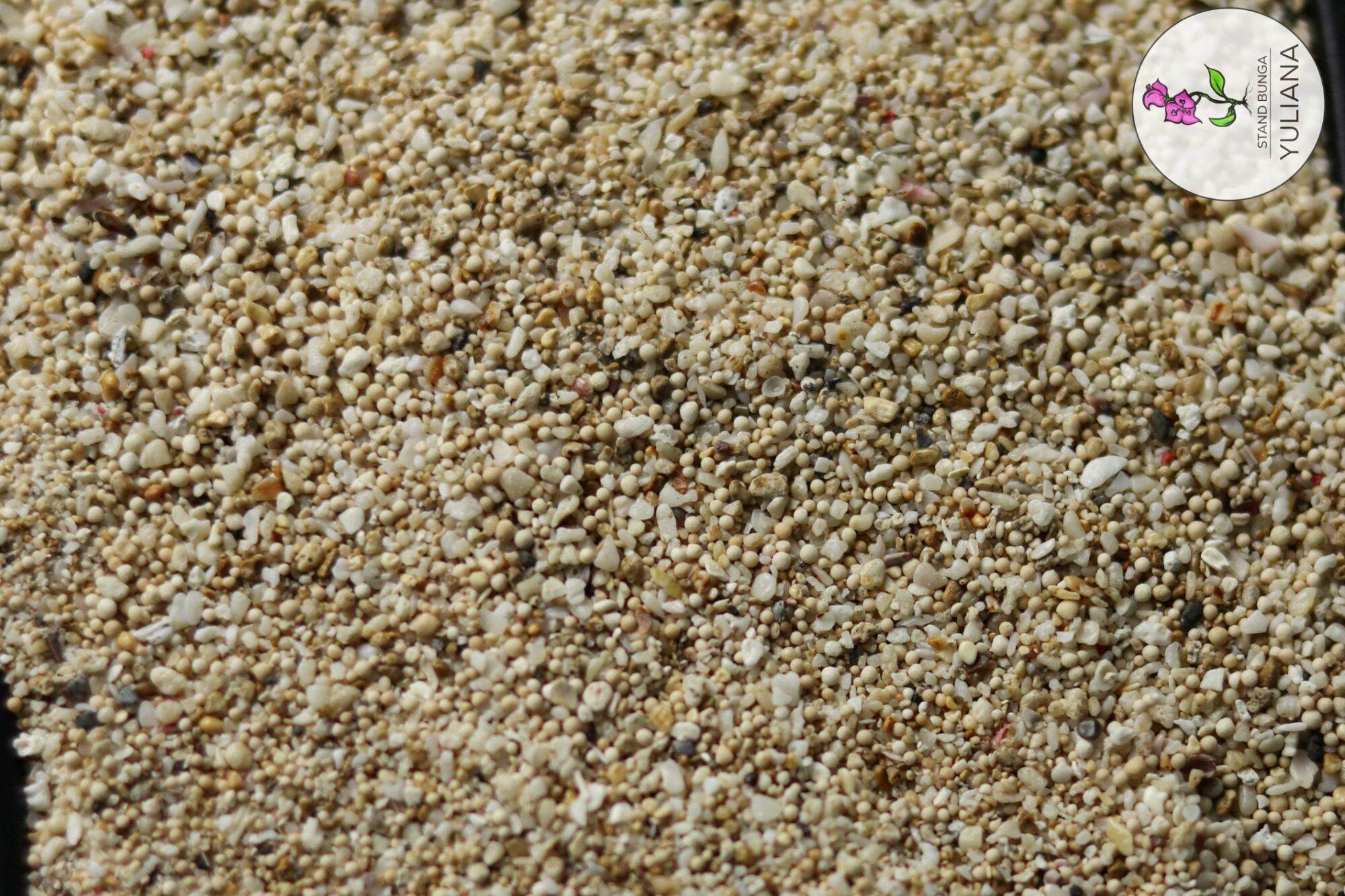 Pasir Bali 1Kg | Pasir Merica | Pasir Pantai untuk Aquarium & Aquascape ...