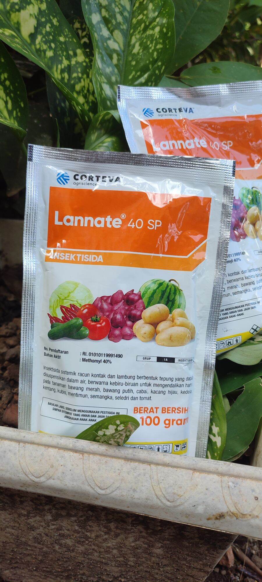 INSEKTISIDA LANNATE 40 SP 100 GRAM | Lazada Indonesia