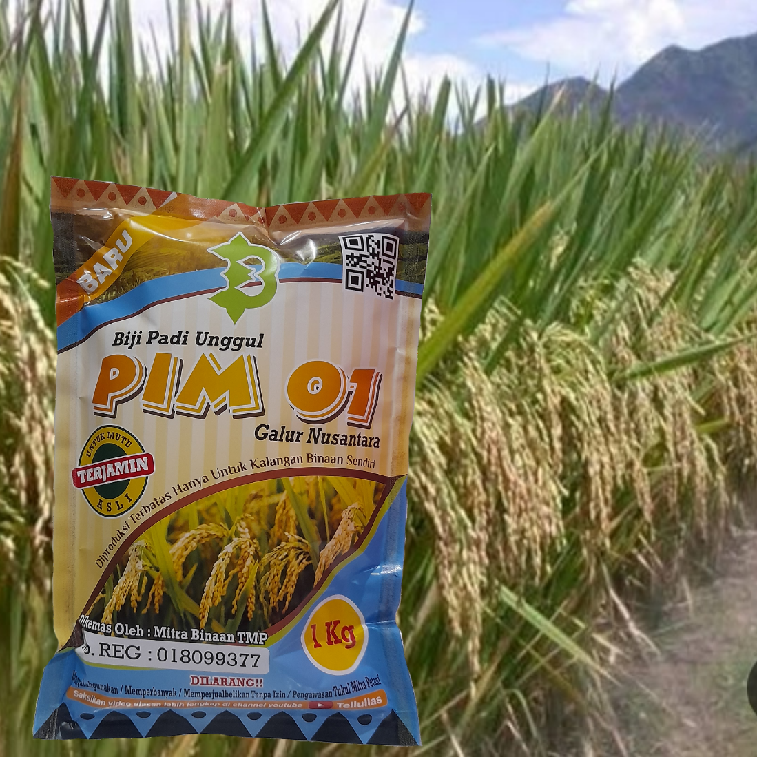 Padi Raksasa PIM 01 ori | Lazada Indonesia