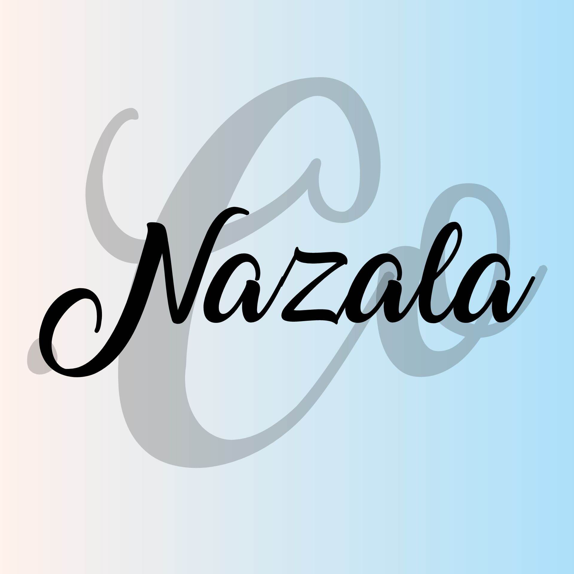 NAZALA.CO Indonesia Toko Resmi Online | Beli Sekarang di Lazada