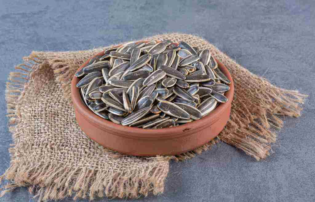 Kuaci Rebo Original 1 renceng isi 10 Pcs | Lazada Indonesia