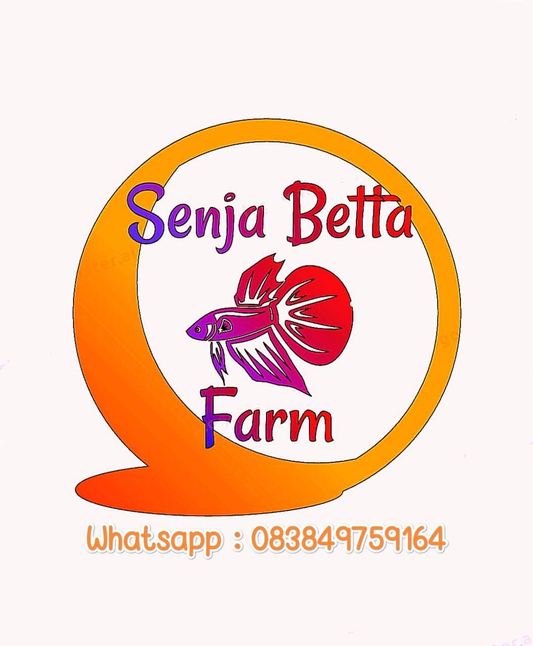 Toko Resmi Senja Betta Farm Online | Lazada.co.id