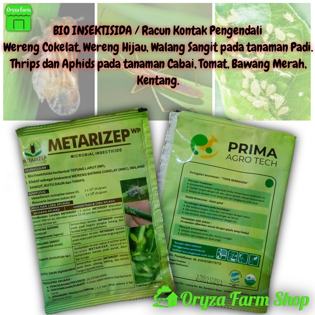 Metarizep - bio insektisida / insektisida organik / racun kontak ...
