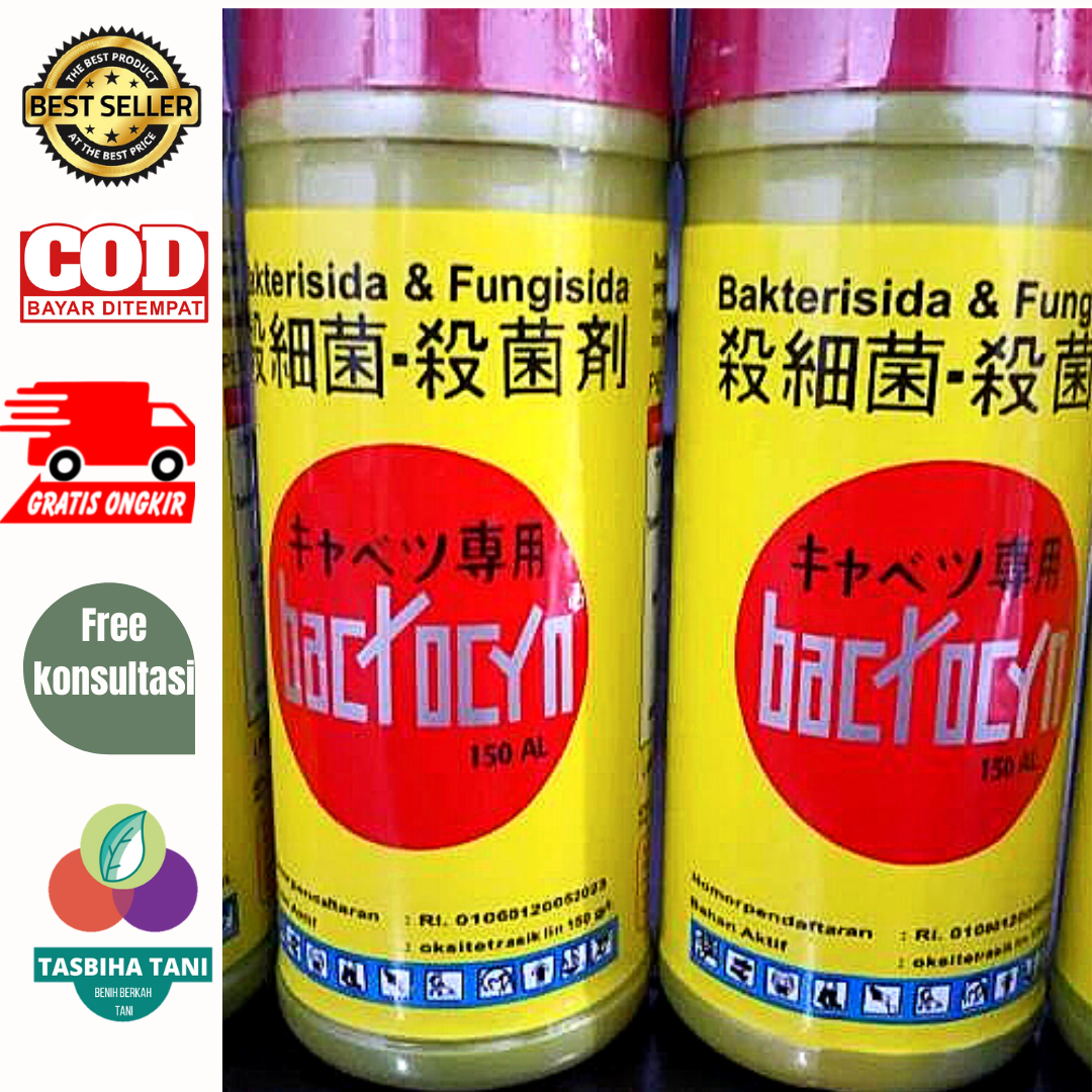 BACTOCYN Bakterisida dan fungisida 100 ml dan 200 ml untuk layu bakteri ...