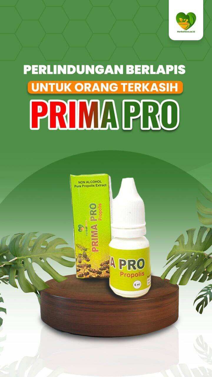 PRIMA PRO PROPOLIS PROOLIS TERBUAT DARI AIR LIUR LEBAH PRIMA PRO PROPOLIS OBAT HERBAL ...