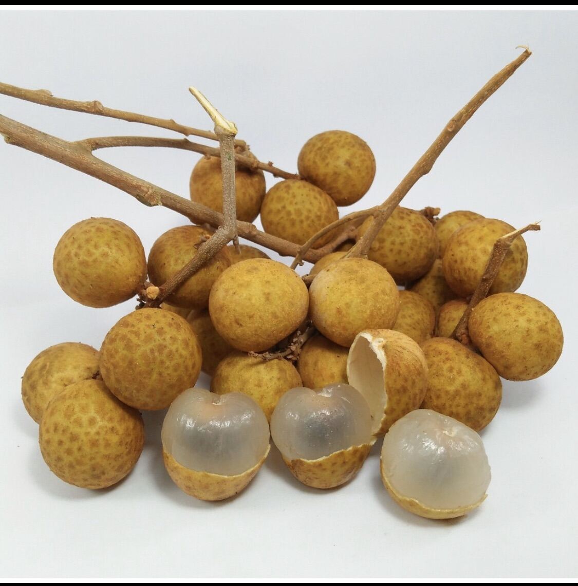 Buah lengkeng / kelengkeng Bangkok Thailand 1kg | Lazada Indonesia