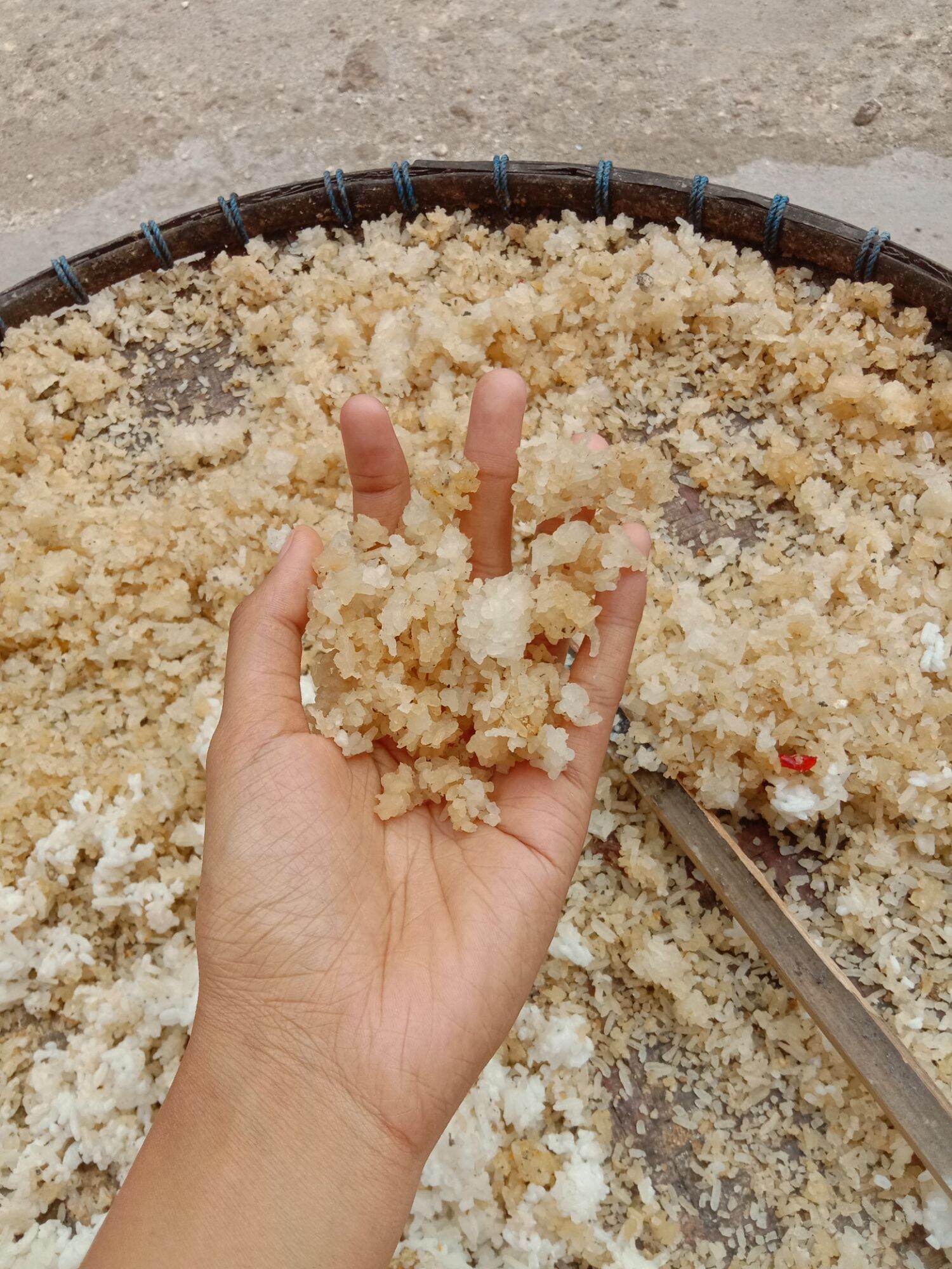 Kerak/ nasi aking pakan ternak ayam bebek 250gr | Lazada Indonesia