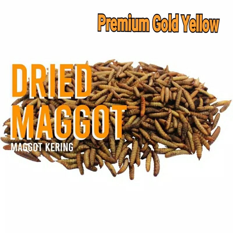 Dried Maggot BSF Kering 1 kg Bukan ulat Hongkong | Lazada Indonesia