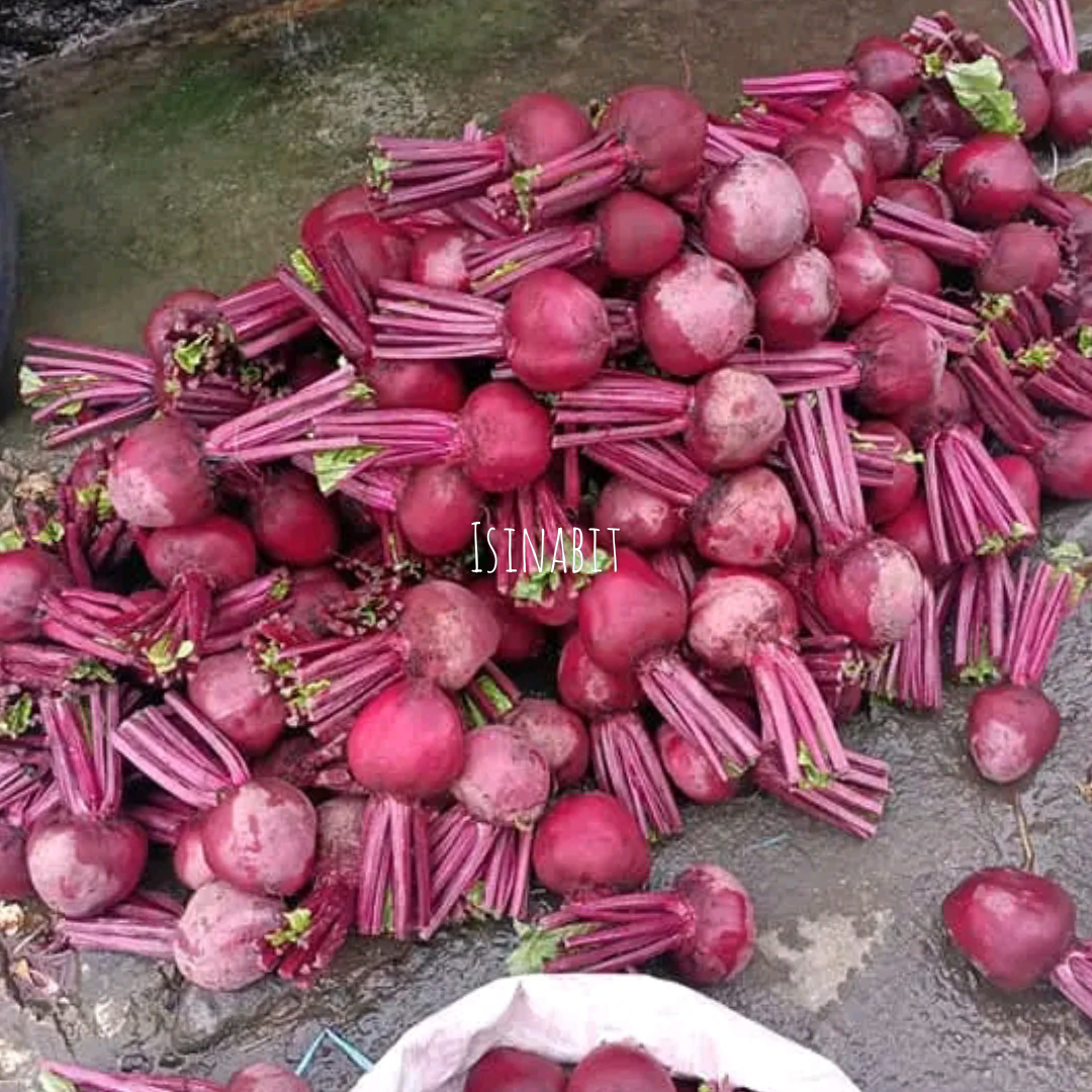 Buah Bit Fresh 1Kg Isi 4-6 Buah | Lazada Indonesia