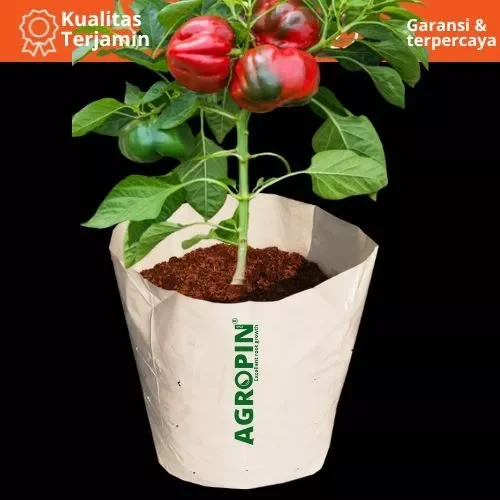 AGROPIN Polybag Putih Tebal premium 40X40 | Lazada Indonesia