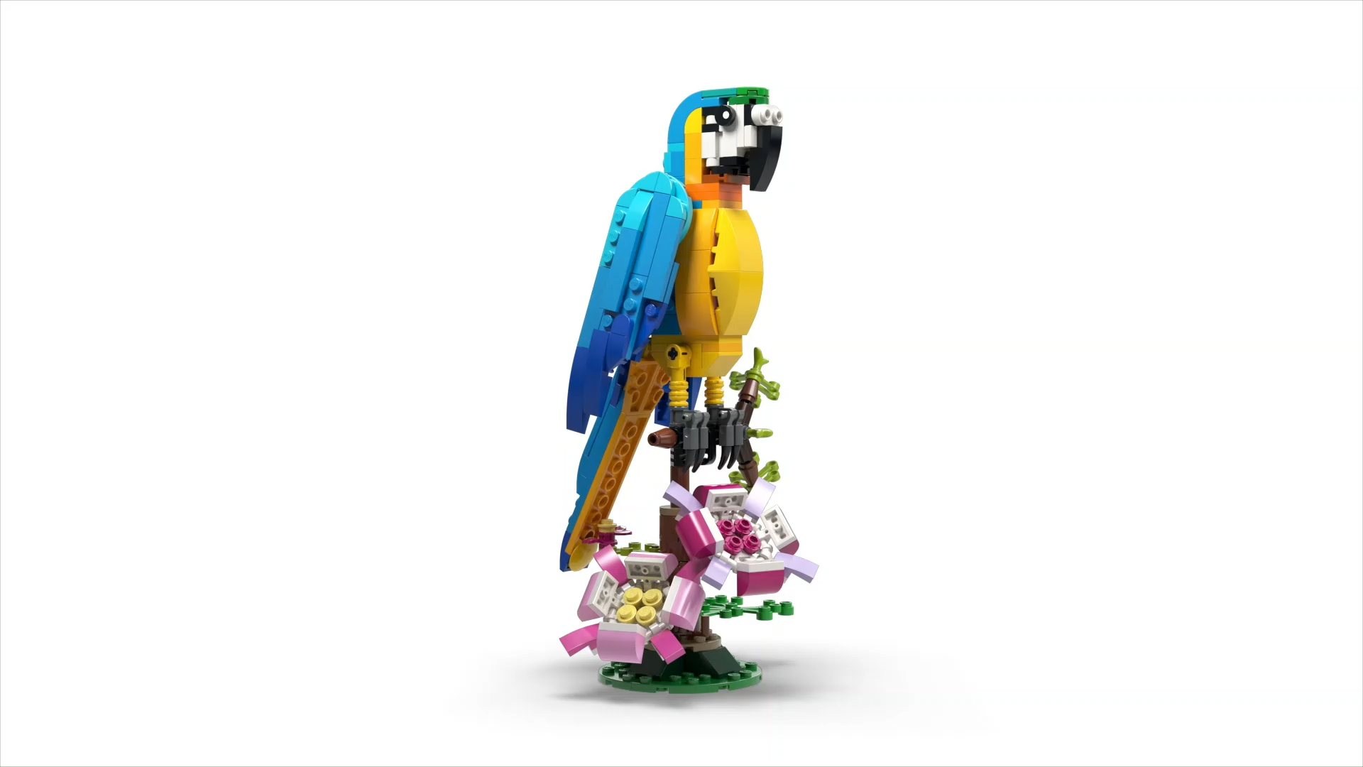 LEGO Creator 31136 Exotic Parrot (253 Pieces), Building Block, Toys ...
