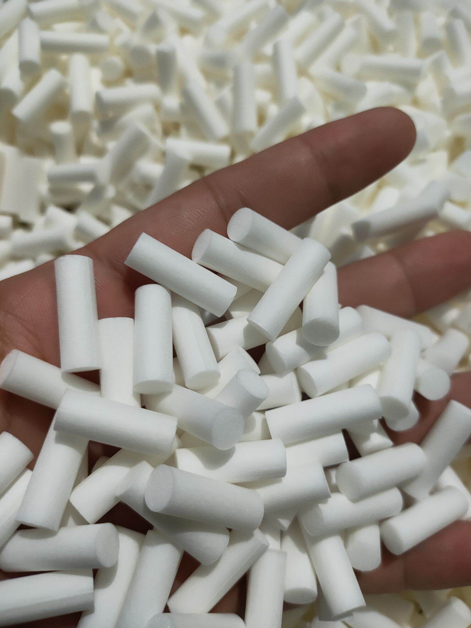 Gabus busa filter mild super premium 1Kg | Lazada Indonesia