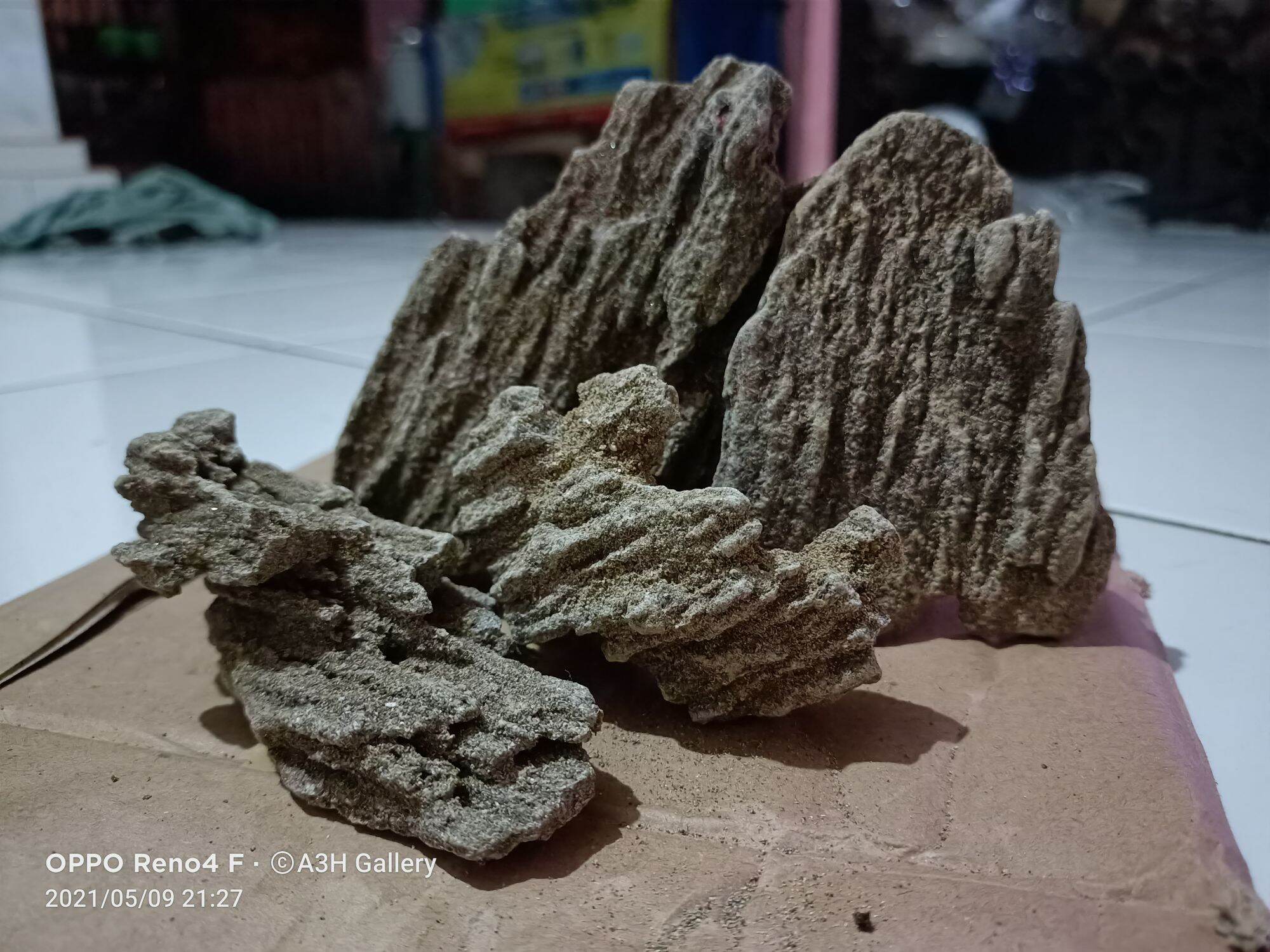 Batu fosil pasir aquascape aquarium /1kg | Lazada Indonesia