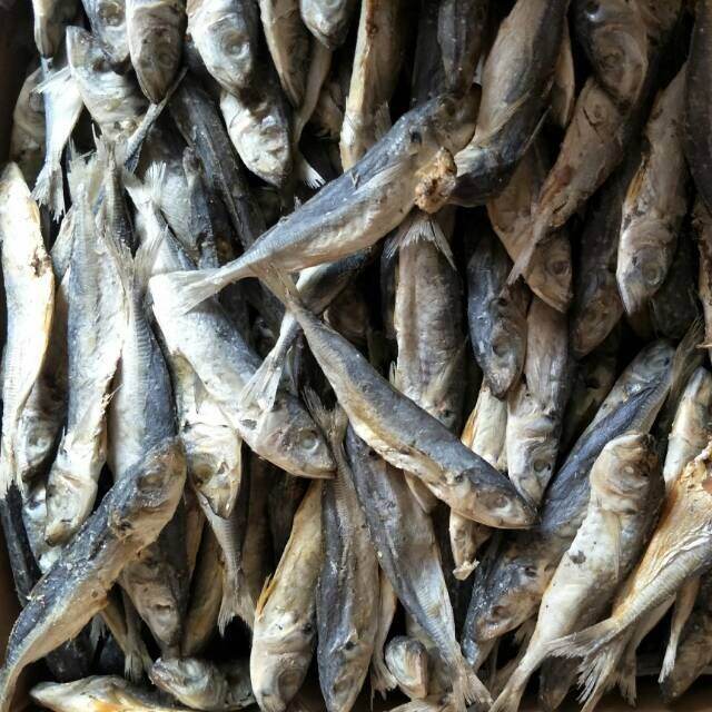 Ikan Asin Kecil/Ikan Asin Dencis/Ikan Asin Sarden/Ikan Asin Peda/Ikan ...