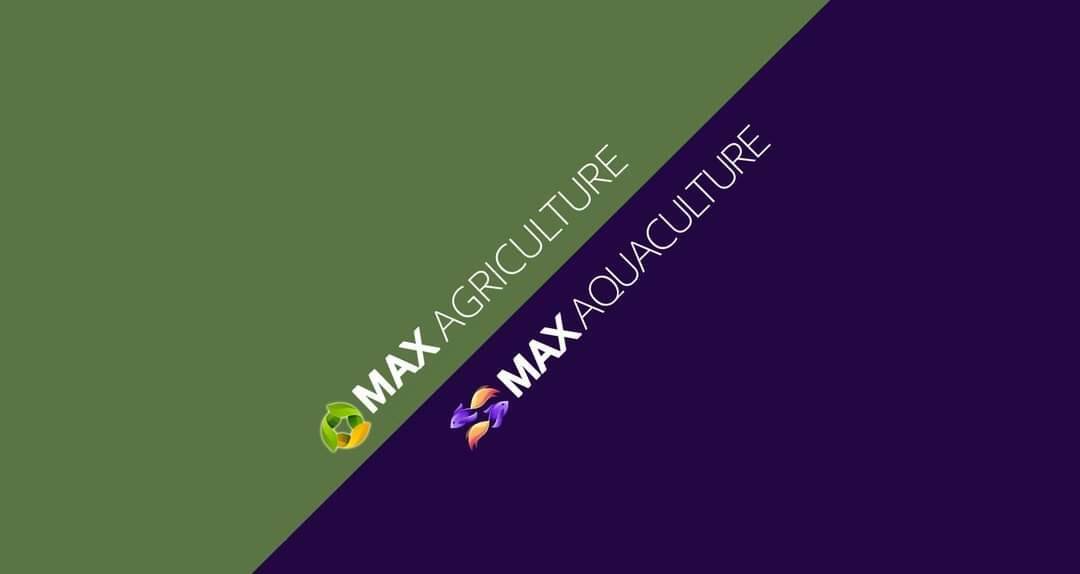 maxgroup Indonesia Toko Resmi Online | Beli Sekarang di Lazada