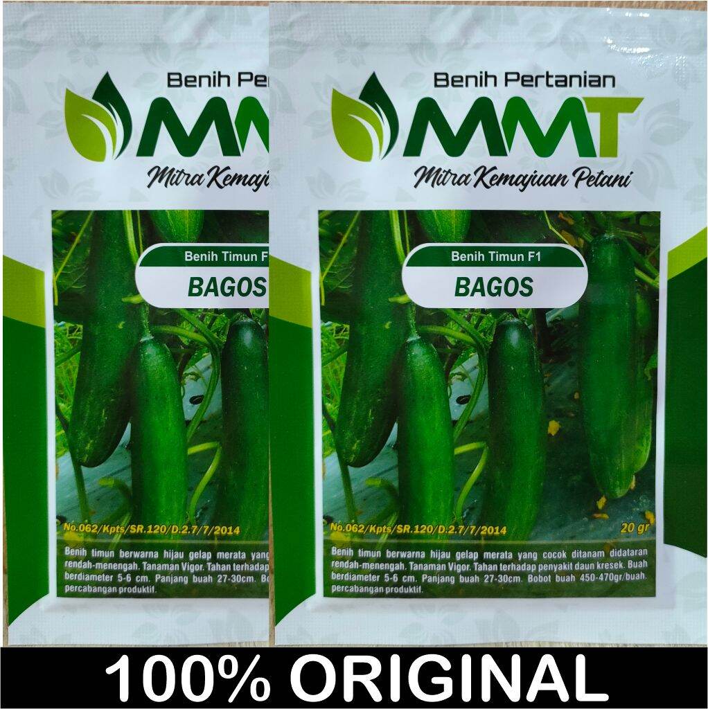 BENIH TIMUN BAGOS F1 MMT SEED 20 GRAM | Lazada Indonesia