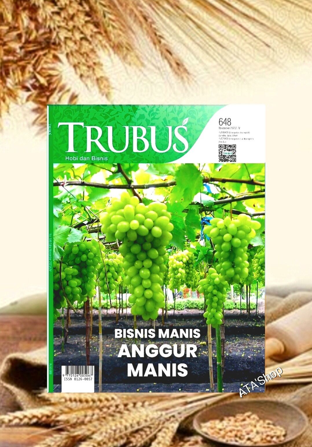 Majalah Trubus Edisi November 2023 | Lazada Indonesia