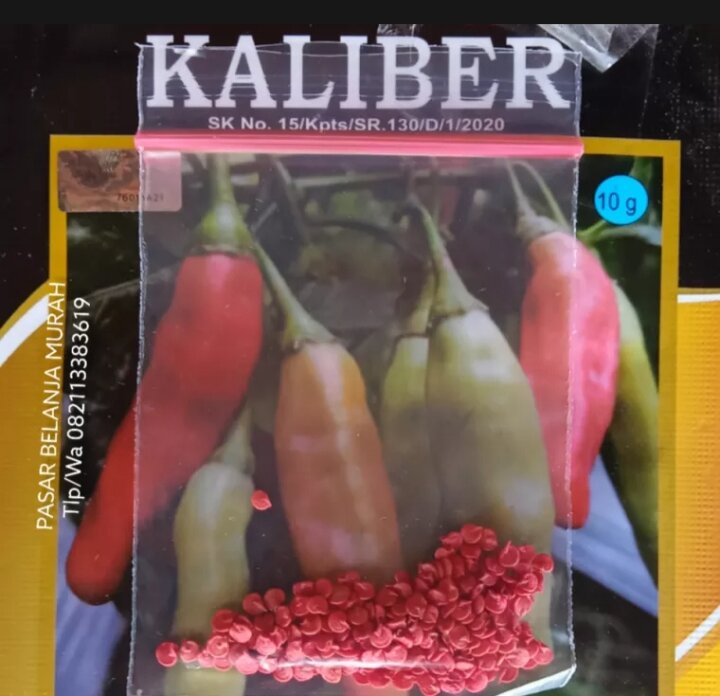 benih cabe KALIBER ORIGINAL (repack isi 100 ) | Lazada Indonesia