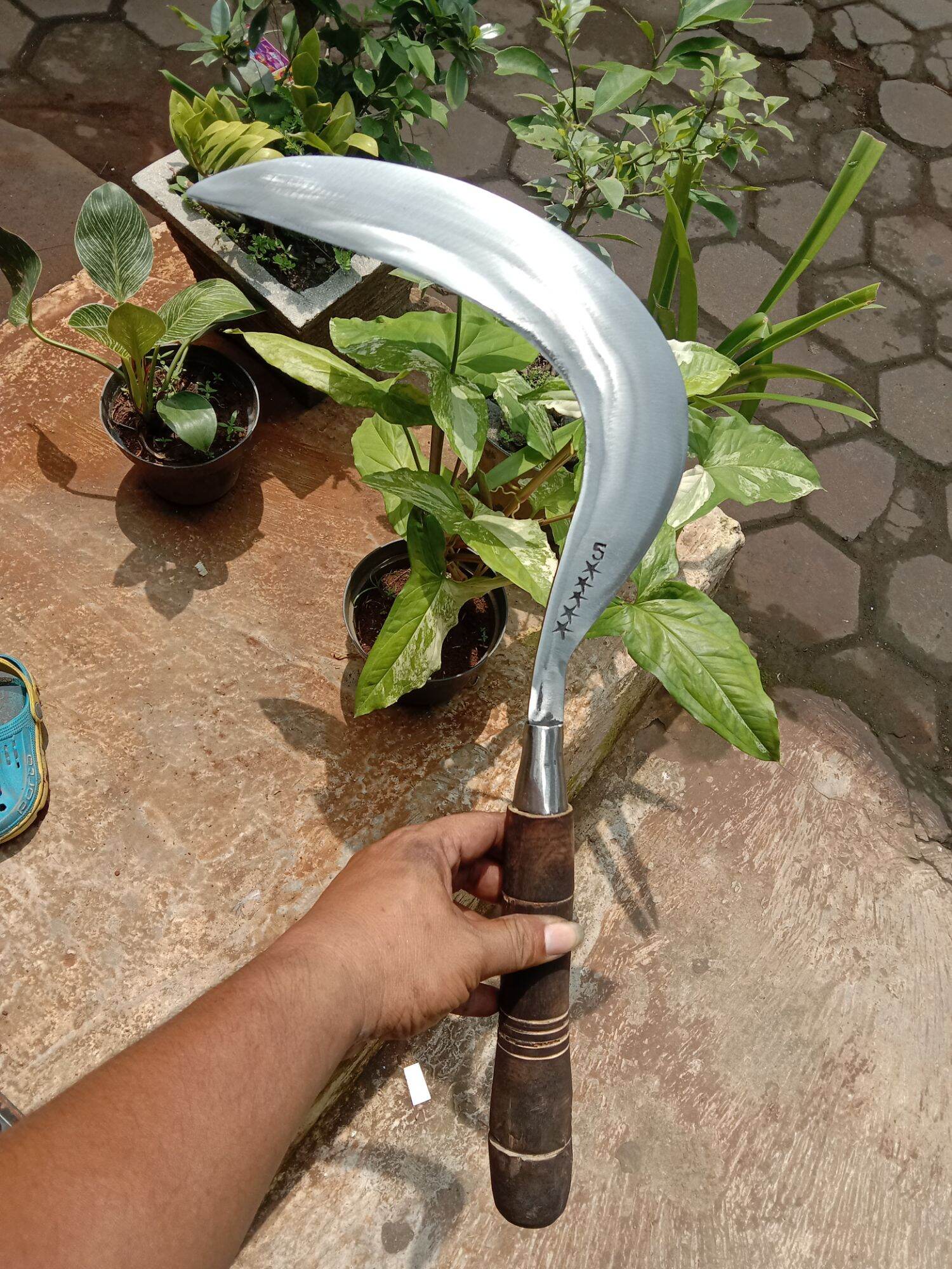 arit bintang lima asli Madura / arit multilenta / peralatan tani / arit ...