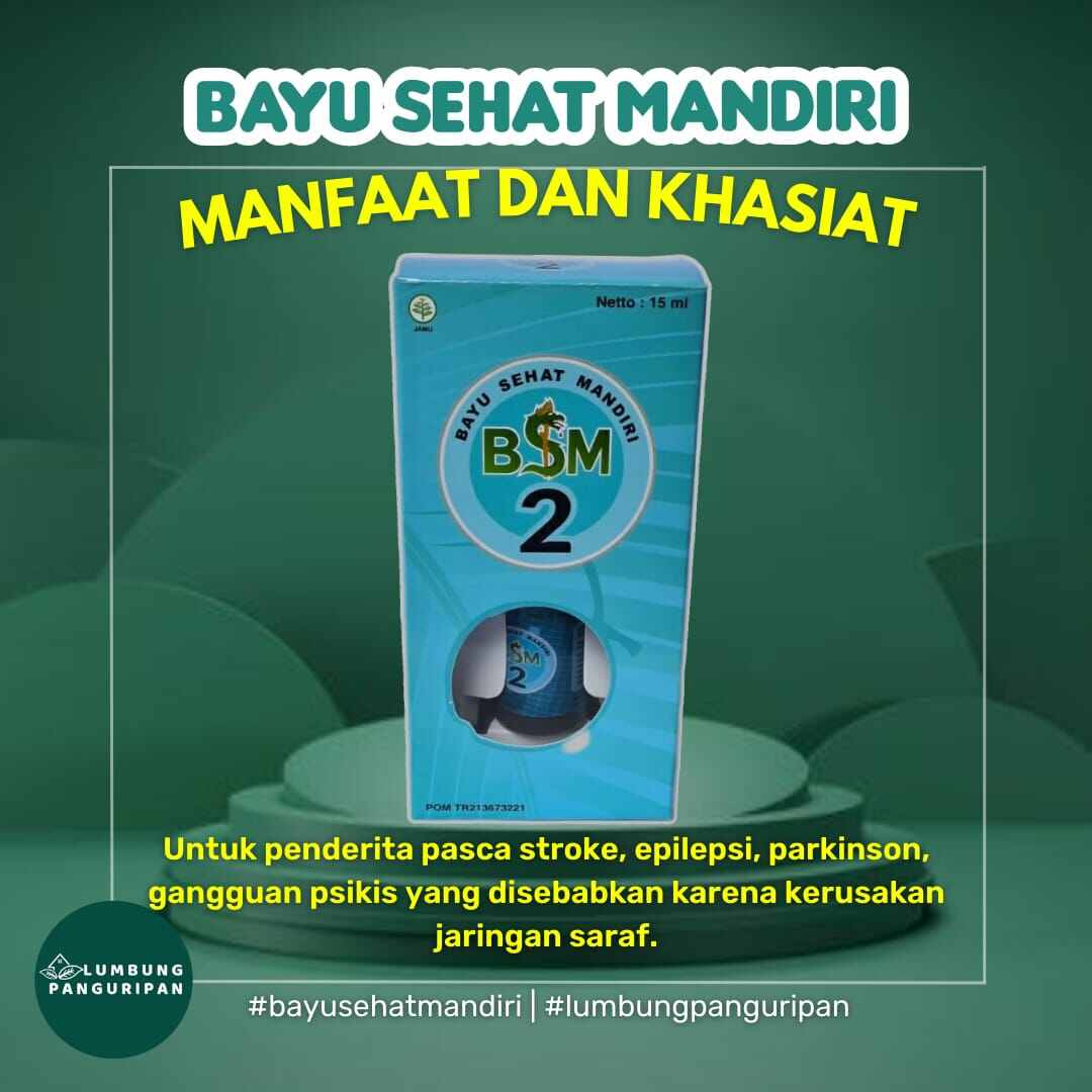 Bayu sehat mandiri BSM 2 | Lazada Indonesia
