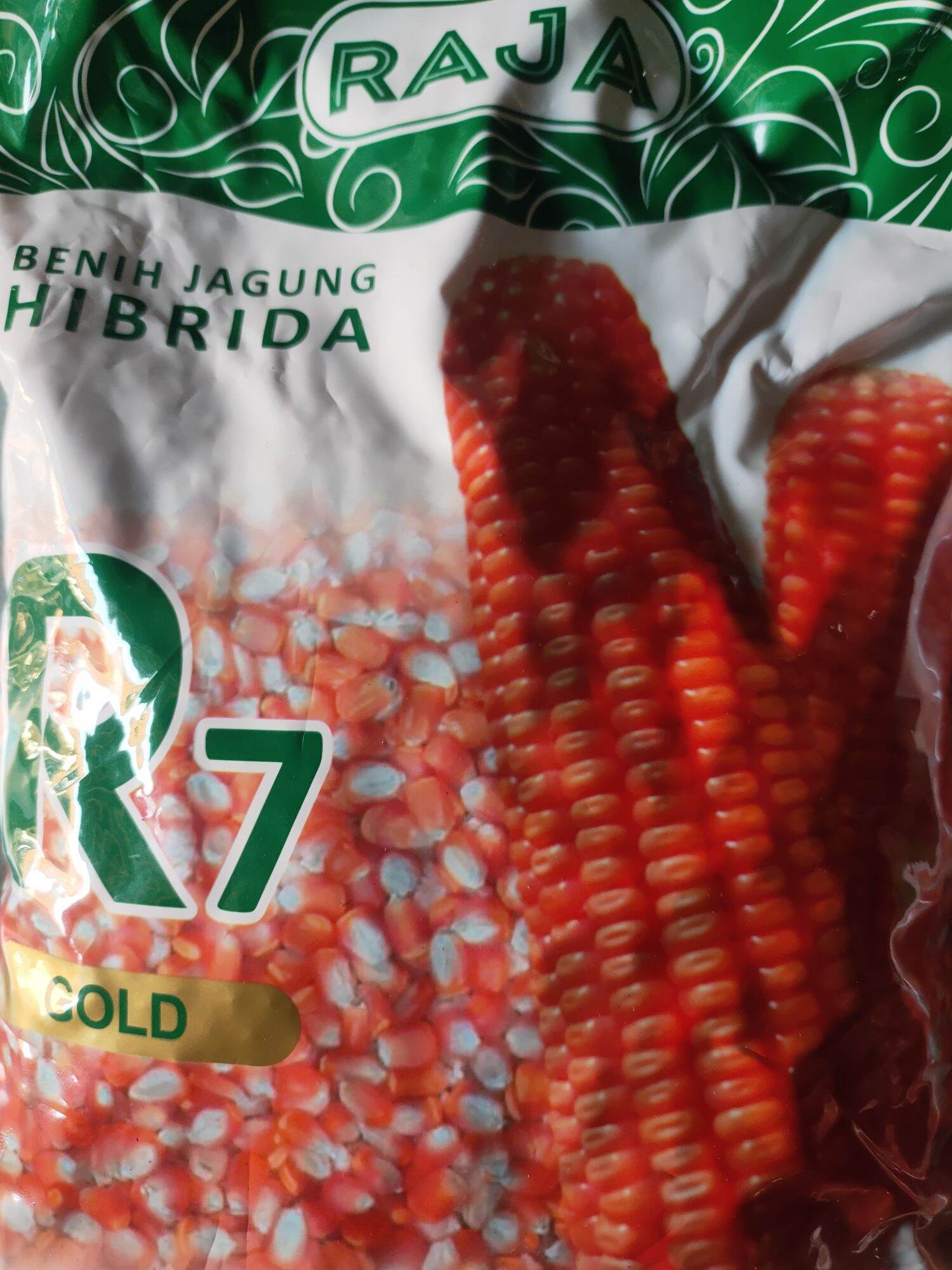 benih jagung hibrida R7 Red & gold 1kg / benih jagung raja r7 kemasan ...
