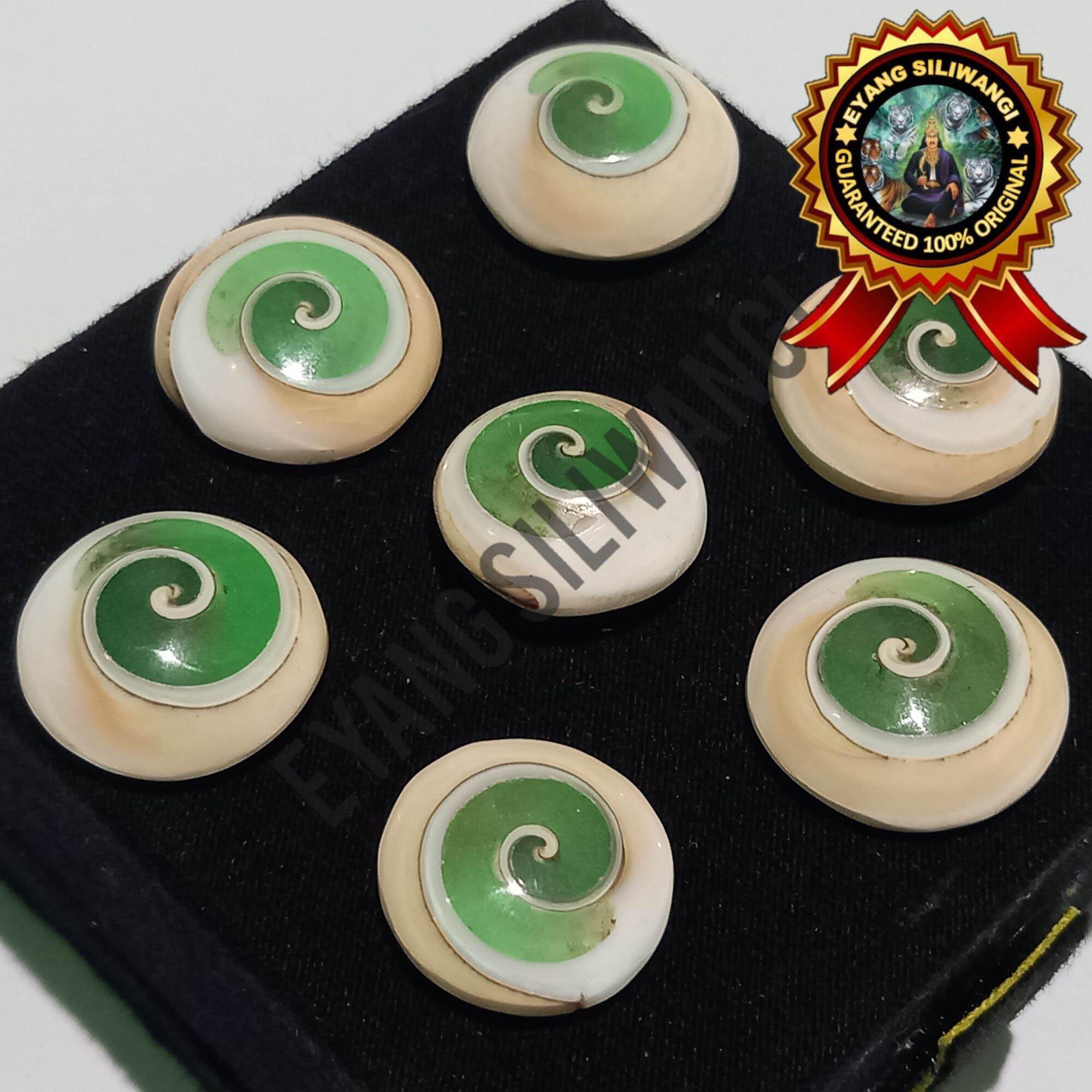 Batu Keong Fosfor Pantai Selatan Bisa Menyala Dalam Gelap Glow In The ...