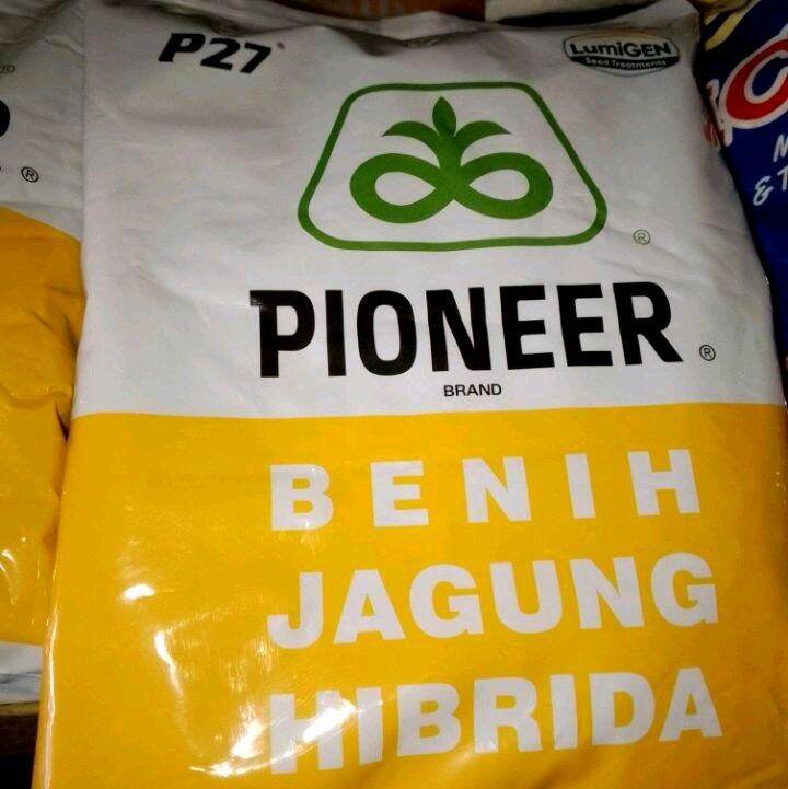 BENIH JAGUNG PIONEER P27 LUMIGEN HIBRIDA 1KG | Lazada Indonesia