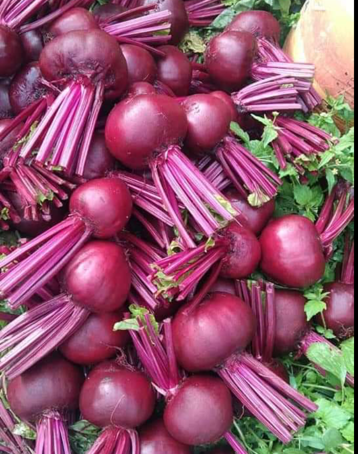 Buah Beetroot / 1kg | Lazada Indonesia