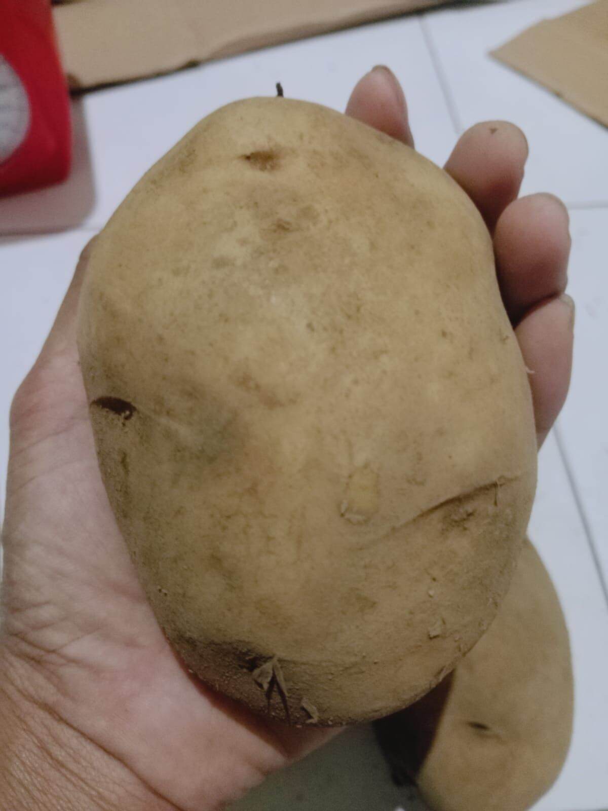 kentang Dieng / kentang kuning ukuran besar . 500gram/1 kg | Lazada ...