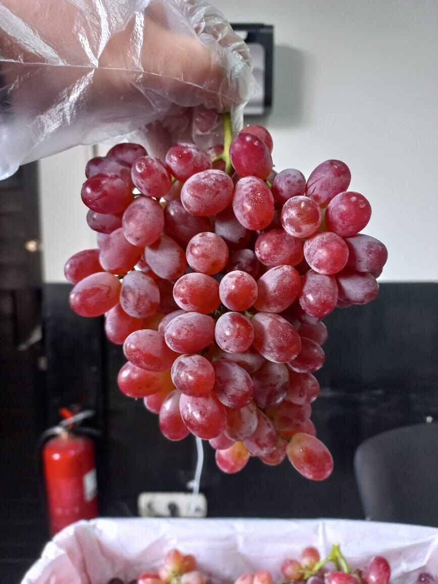 Buah anggur crimson 1kg | Lazada Indonesia