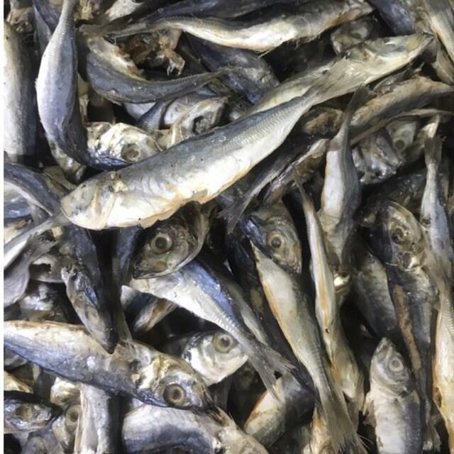 Ikan Asin layang / ikan asin klothok / ikan asin pindang / ikan asin ... Ikan Asin layang / ikan asin klothok / ikan asin pindang / ikan asin ...