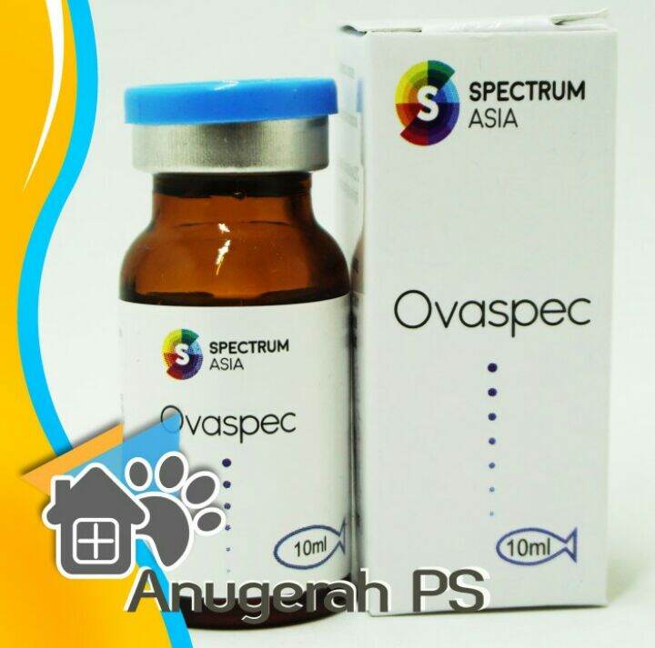 ovaspec 10 ml hormon ikan pengganti ovaprim | Lazada Indonesia