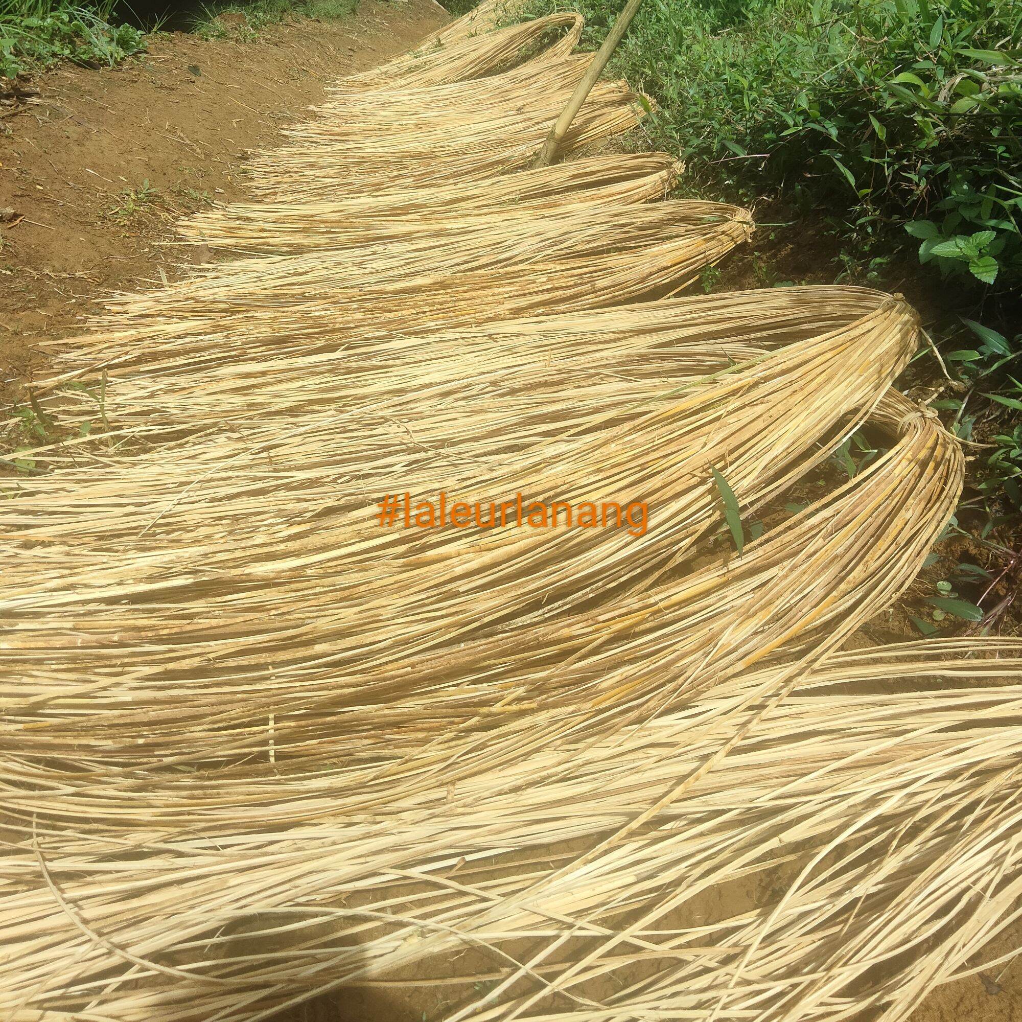 Tali Rotan Mini, (10 lembar) panjang 200cm bahan kerajinan anyaman dan ...