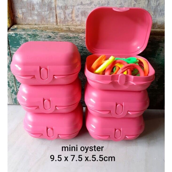 Tupperware mini oyster 1pcs | Lazada Indonesia