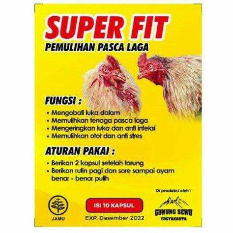 SUPER FIT OBAT PEMULIHAN AYAM PASCA LAGA ADU OBAT LUKA DALAM AYAM ISI 10 KAPSUL | Lazada Indonesia