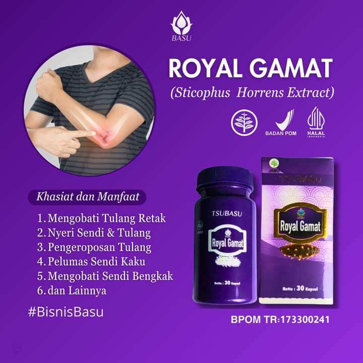 ROYAL GAMAT SUPLEMEN UNTUK MASALAH TULANG DAN SENDI | Lazada Indonesia