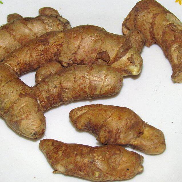 Temu Giring / Temu Kuning 1kg (Curcuma Heyneana) | Lazada Indonesia