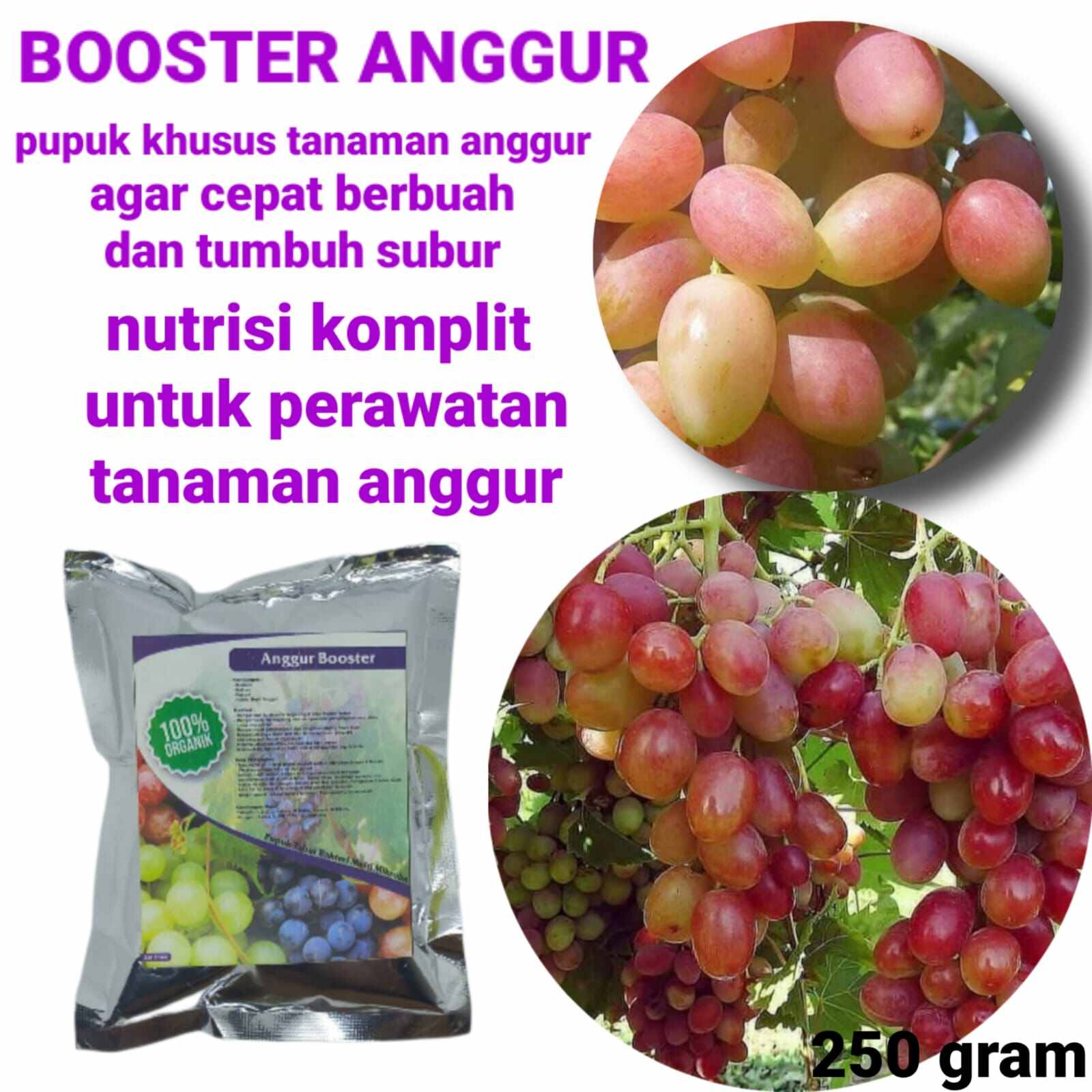 Pupuk anggur booster berkualitas pupuk organik anggur booster ...