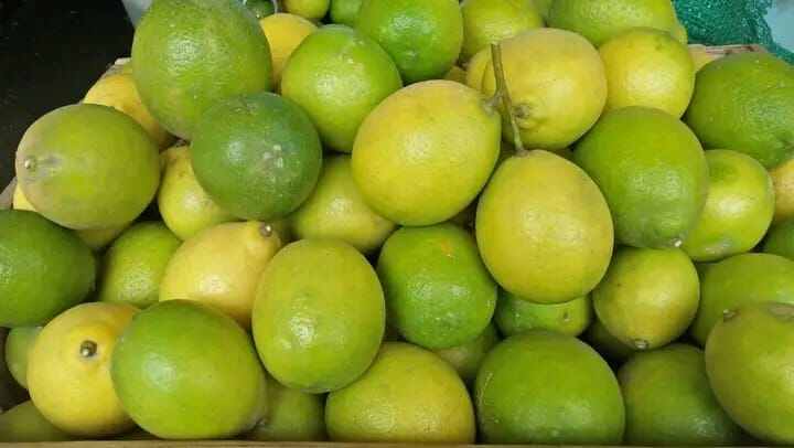 Jeruk lemon California super jumbo super segar per 1kg | Lazada Indonesia