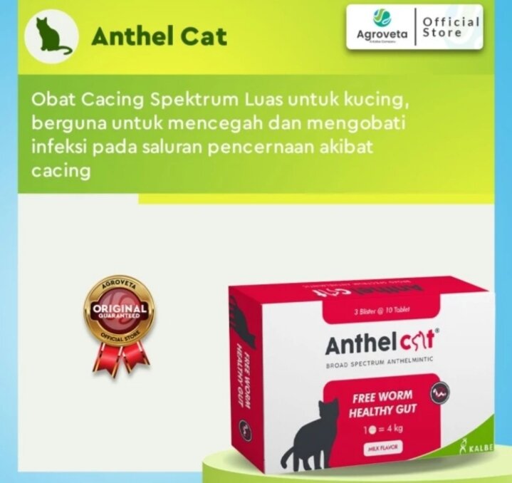 Anthel Cat 1box Obat Cacing Kucing Perbox 30tablet | Lazada Indonesia