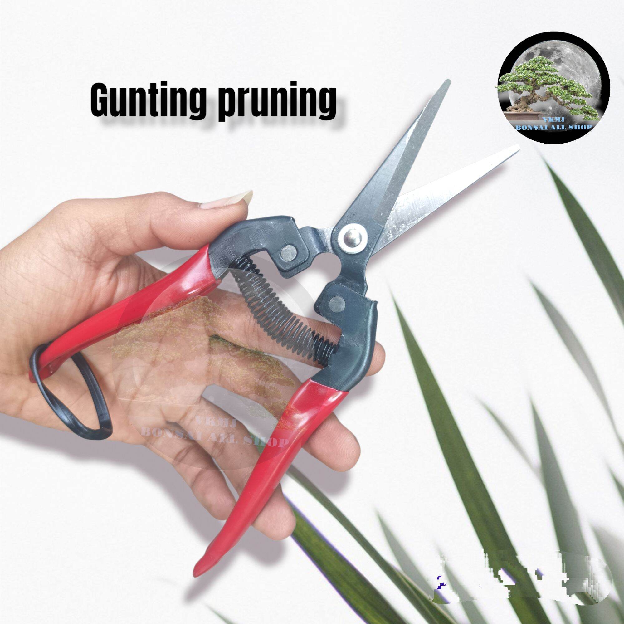 Paket murah gunting pruning dan gunting dahan | Lazada Indonesia
