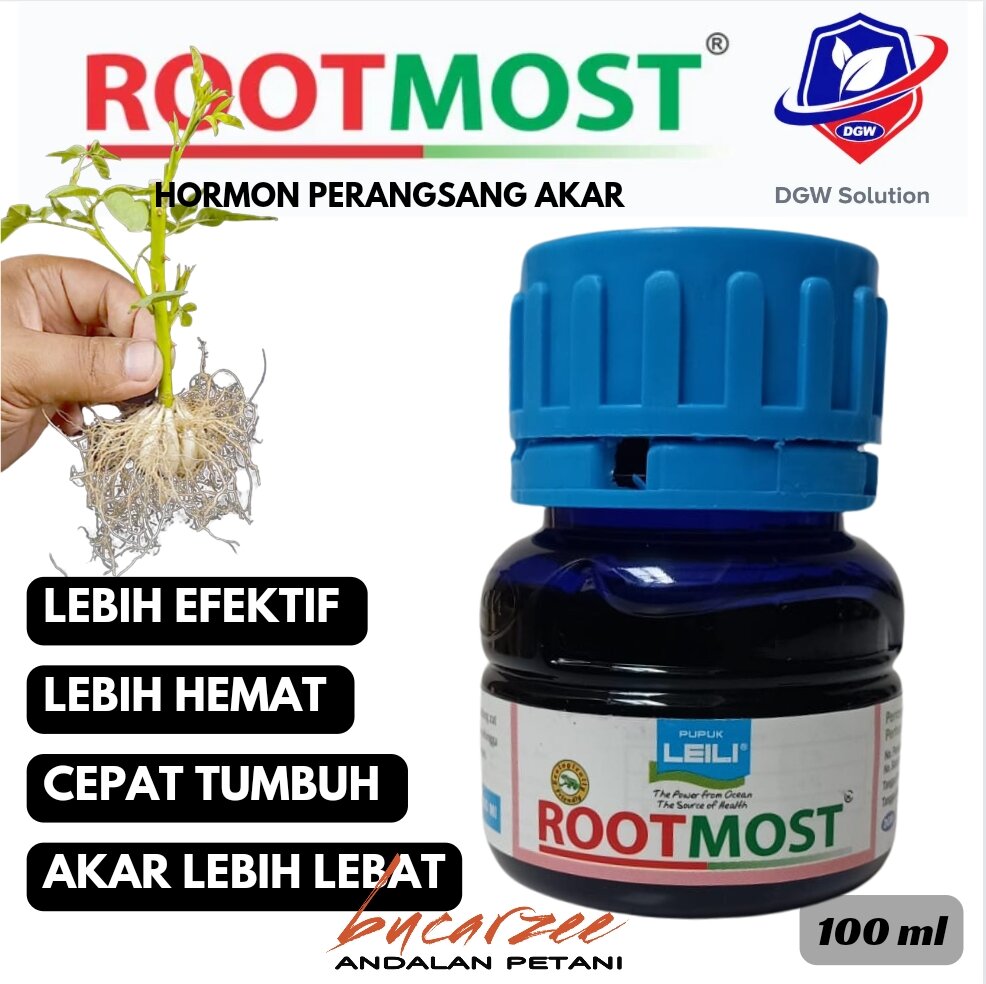 RootMost Hormon Pertumbuhan Akar Stek dan Benih. Lebih Efektif | Lazada Indonesia
