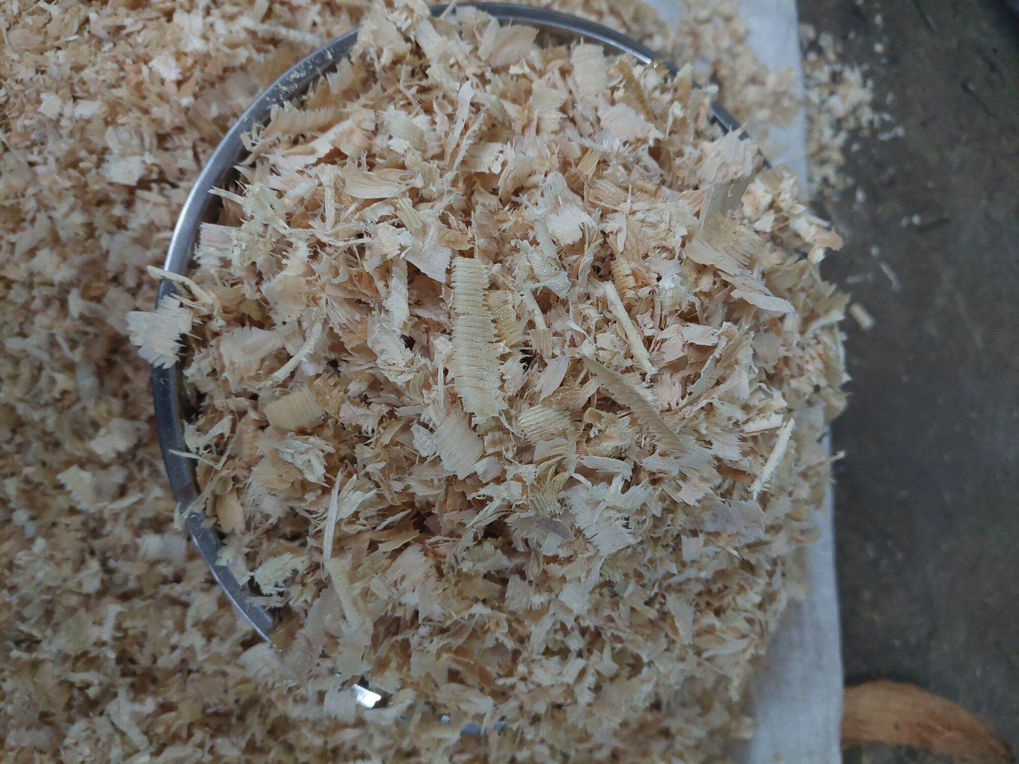 Serbuk kayu Halus & Kasar Kemasan Karung 25kg Sowmil & Molding Media ...