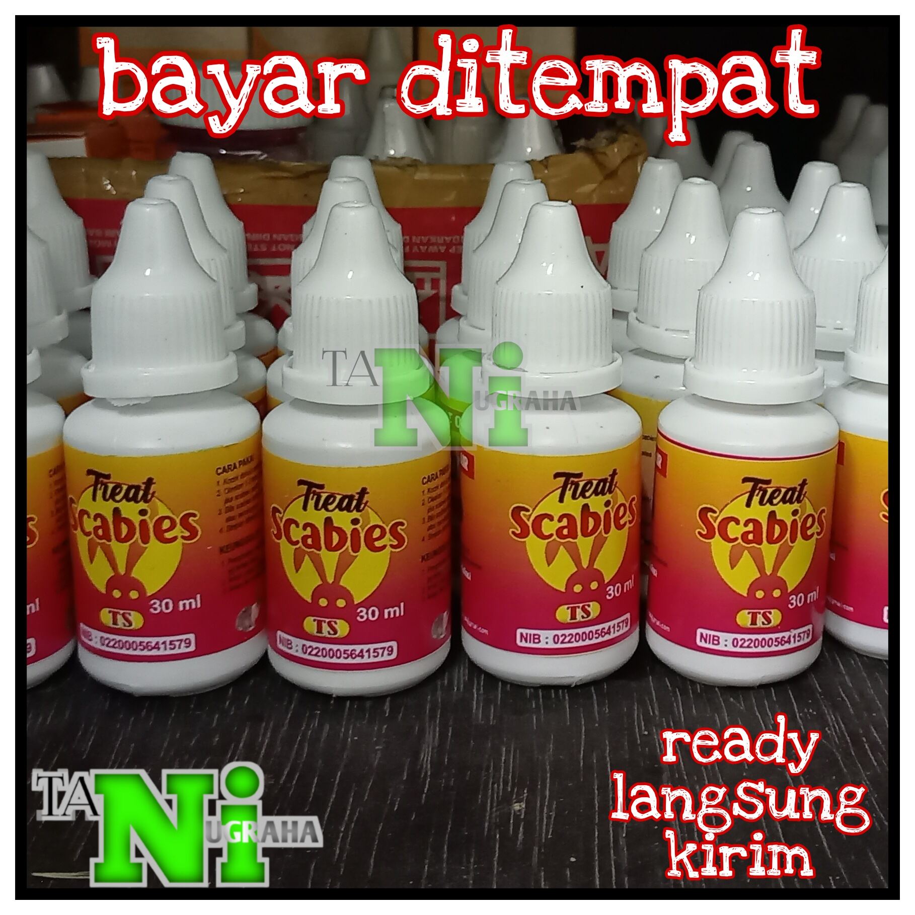 treat scabies obat scabies kelimci ampuh | Lazada Indonesia