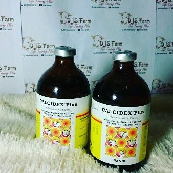 Calcidex Plus 100 ml Sanbe Obat Kekurangan Kalsium Calcium Hewan Ternak ...