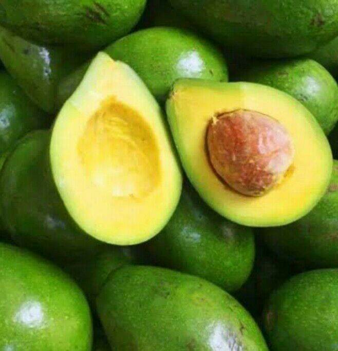 buah alpukat mentega 1kg | Lazada Indonesia